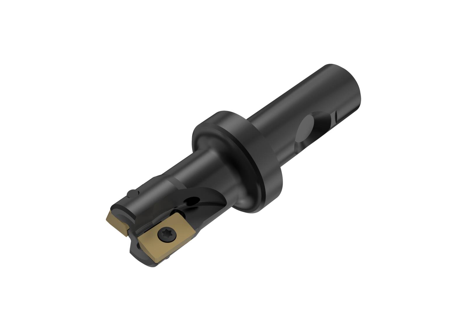 R217.69-2025.3S-16A | Seco Tools